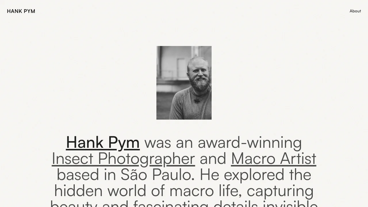 Portfolio Template 4 | Stand Out & Win Clients | Lovable