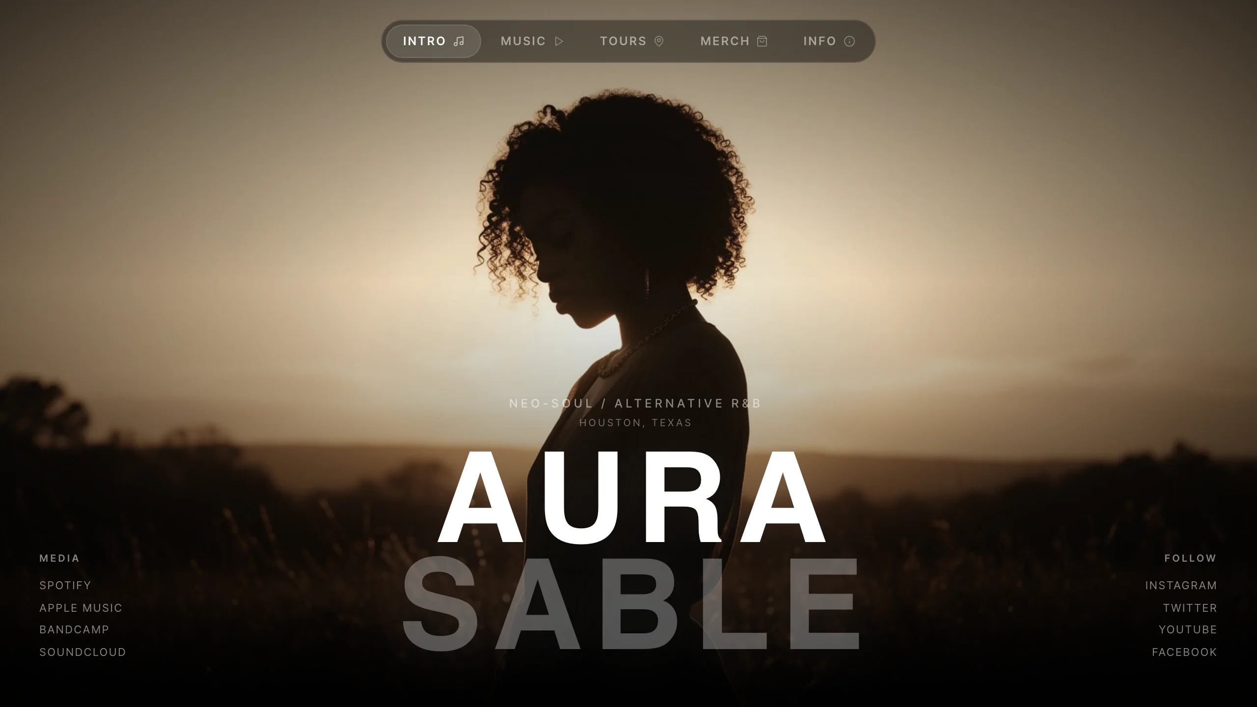 Musician Portfolio Template | Lovable